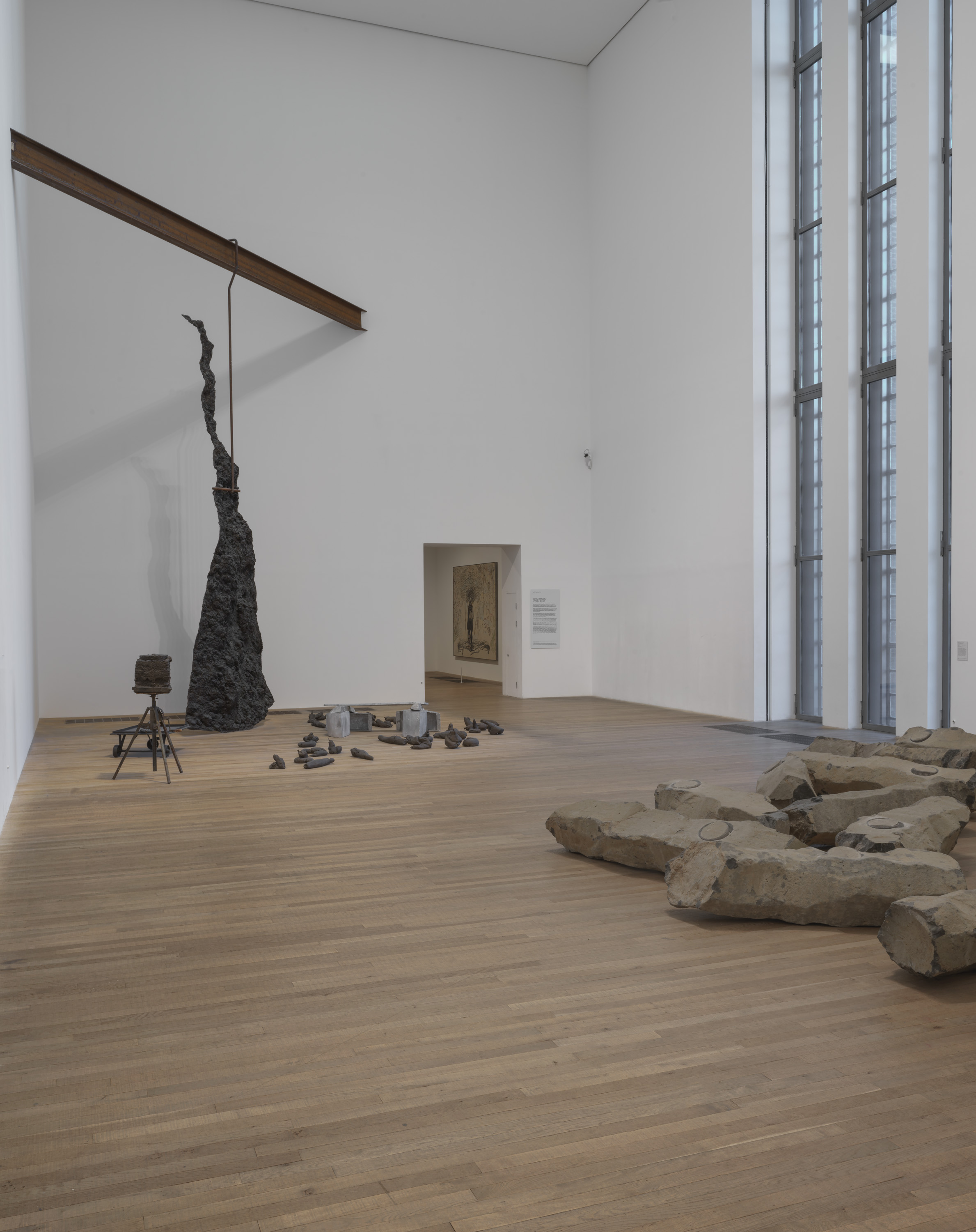Joseph Beuys, London | Artist Rooms