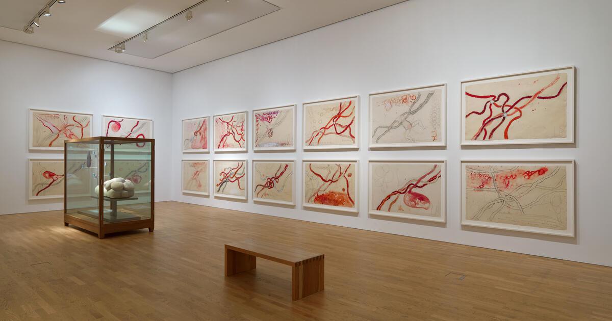 Louise Bourgeois, Middlesbrough | Artist Rooms
